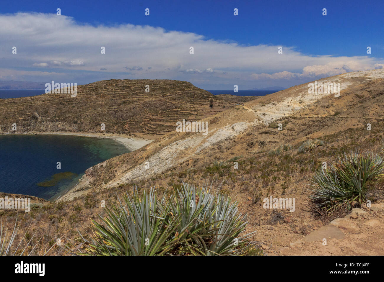 dry landscape at lake titicaca in bolivia Stock Photo - Alamy