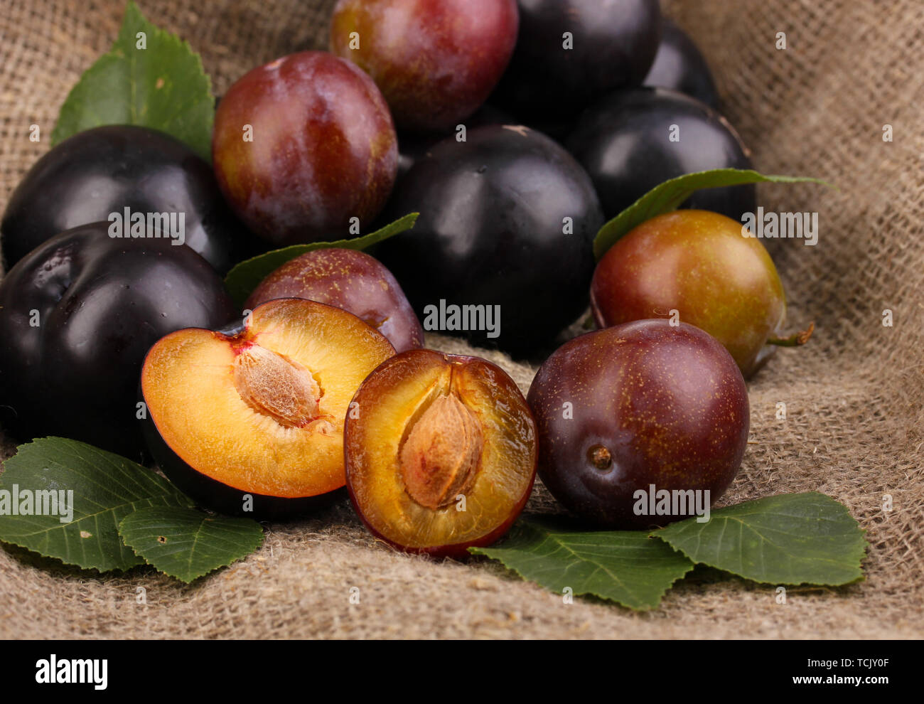Rip plums on sacking Stock Photo - Alamy