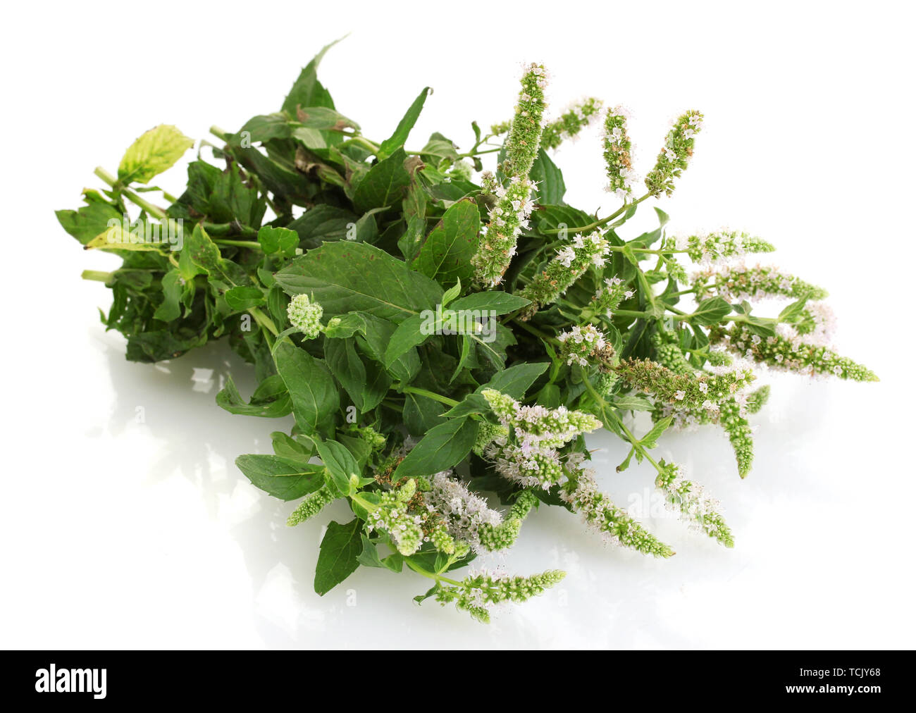 fresh mint with flowers, isolated on white Stock Photo - Alamy