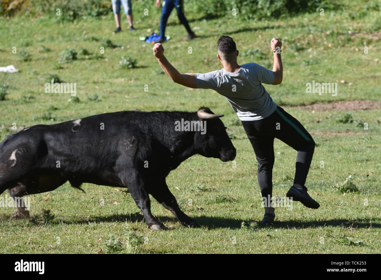 Bull Man Fighting High Resolution Stock Photography and Images - Alamy
