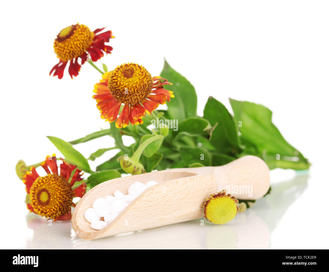 homeopathic tablets and flowers isolated on white Stock Photo - Alamy