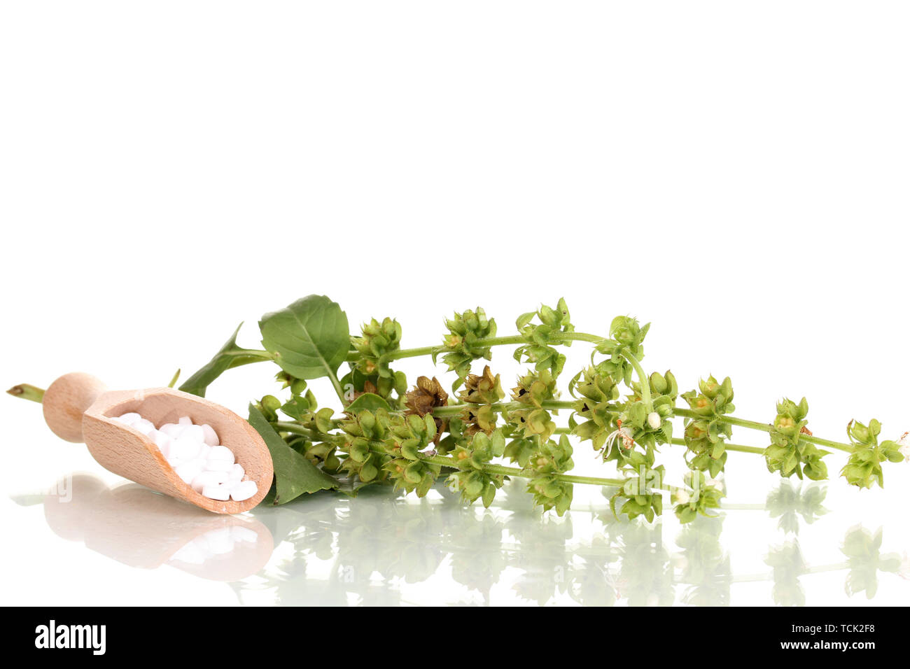 homeopathic tablets and flowers isolated on white Stock Photo - Alamy