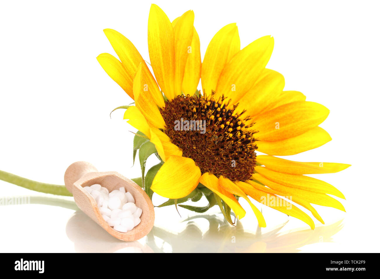 homeopathic tablets and flower isolated on white Stock Photo - Alamy