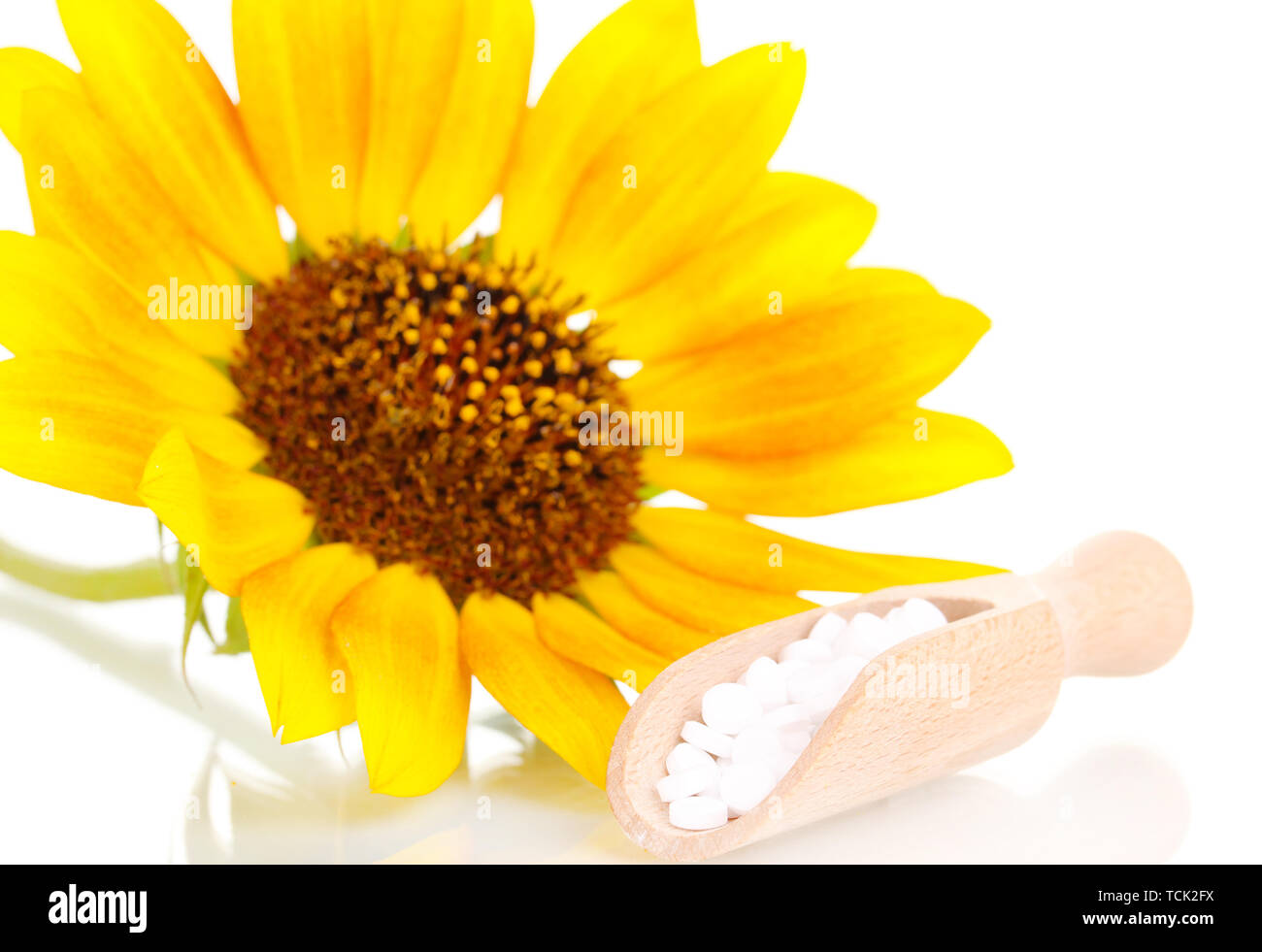 homeopathic tablets and flower isolated on white Stock Photo - Alamy