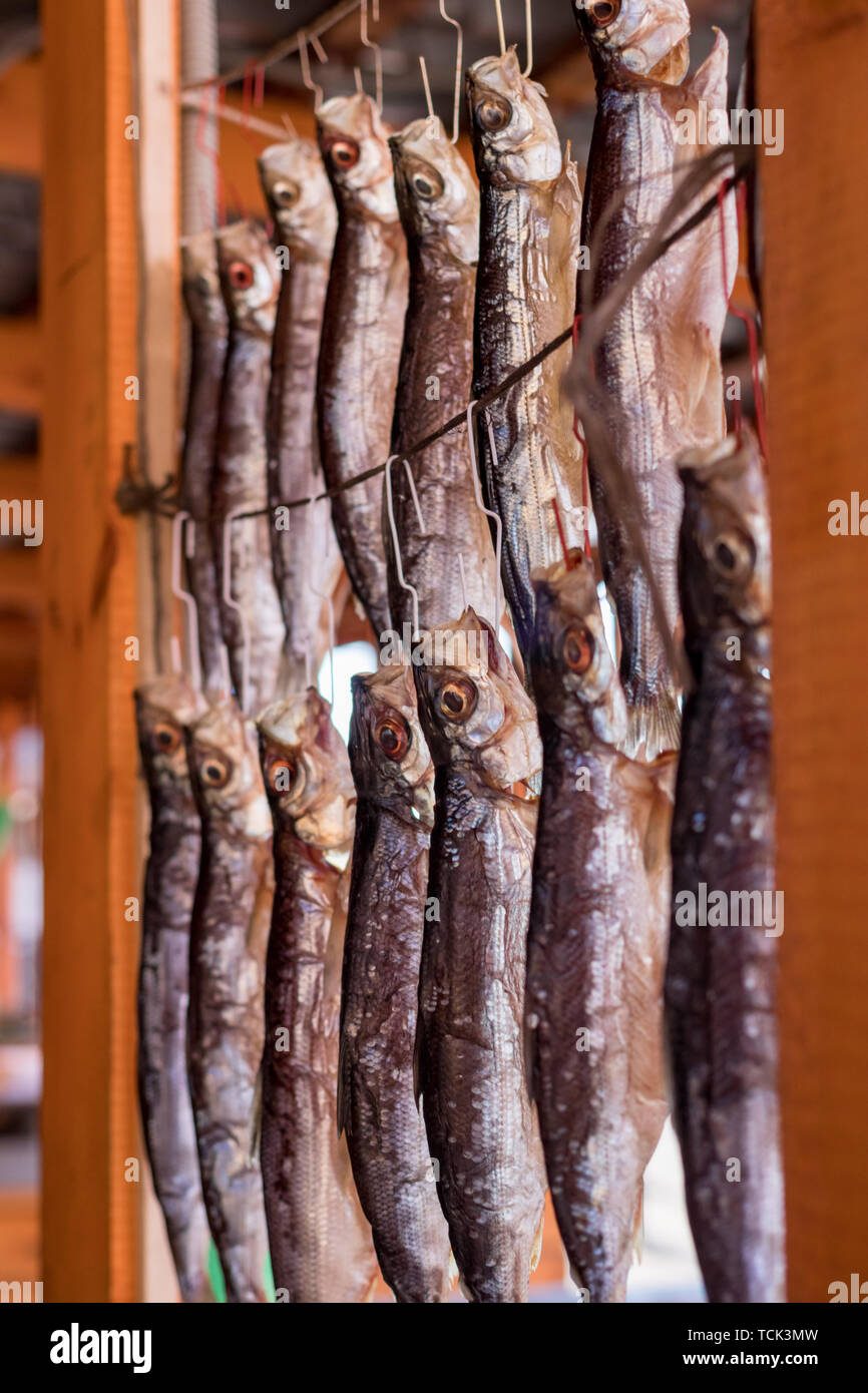 Baikal fish hot smoked and dried on the street market. Listvyanka ...