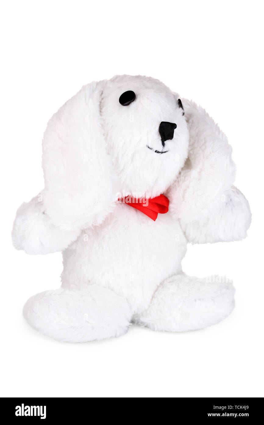 White bunny isolated on white Stock Photo - Alamy