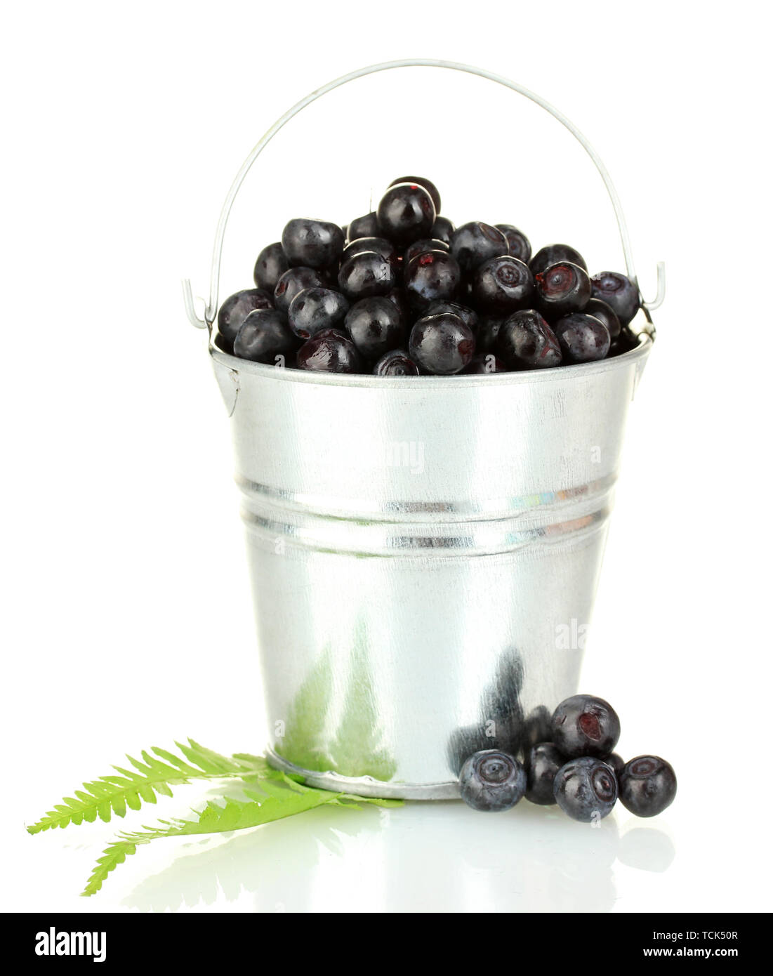 ripe blueberries in silver bucket isolated on white Stock Photo - Alamy