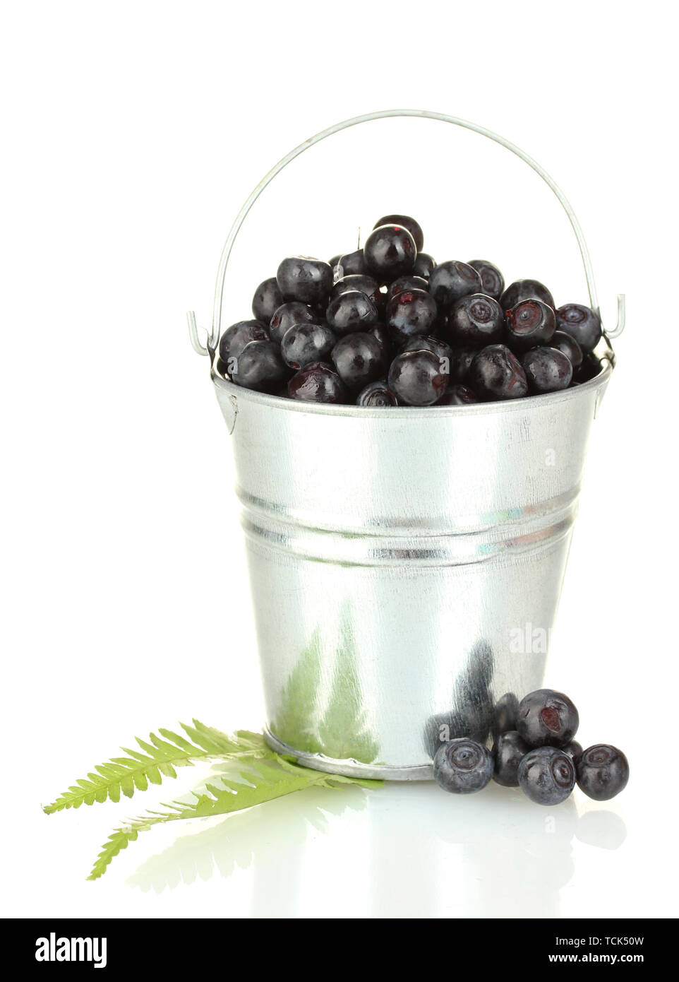 Silver bucket Cut Out Stock Images & Pictures - Alamy