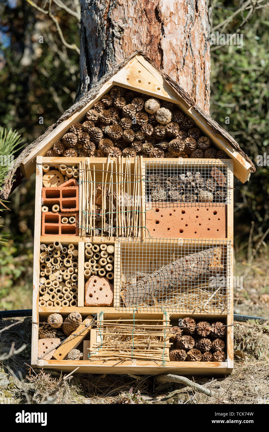 Insect House for the protection of biodiversity. Small shelter or nest ...