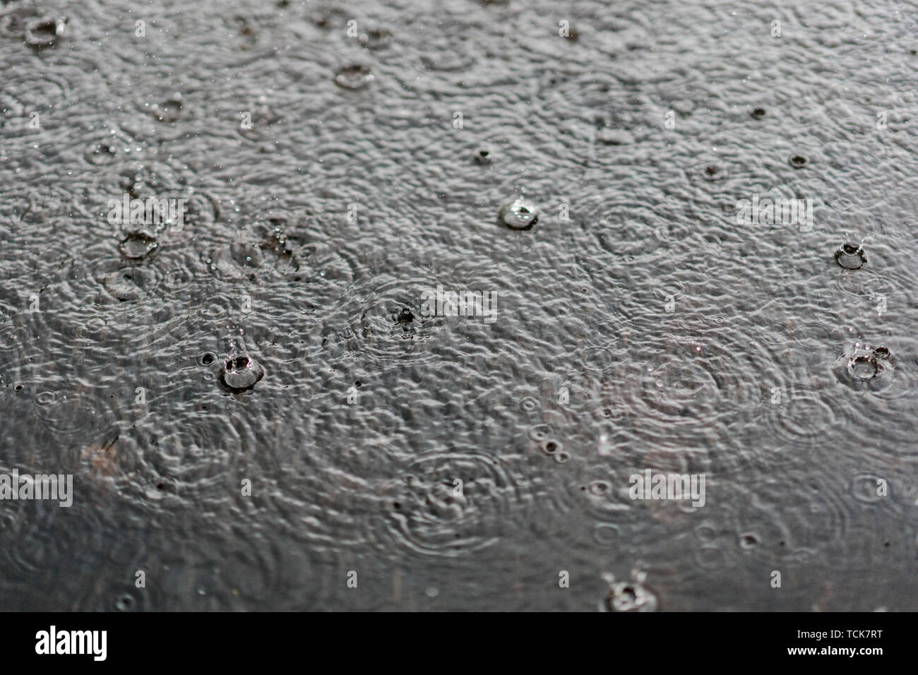 rain gray background. Drops on a puddle Stock Photo - Alamy