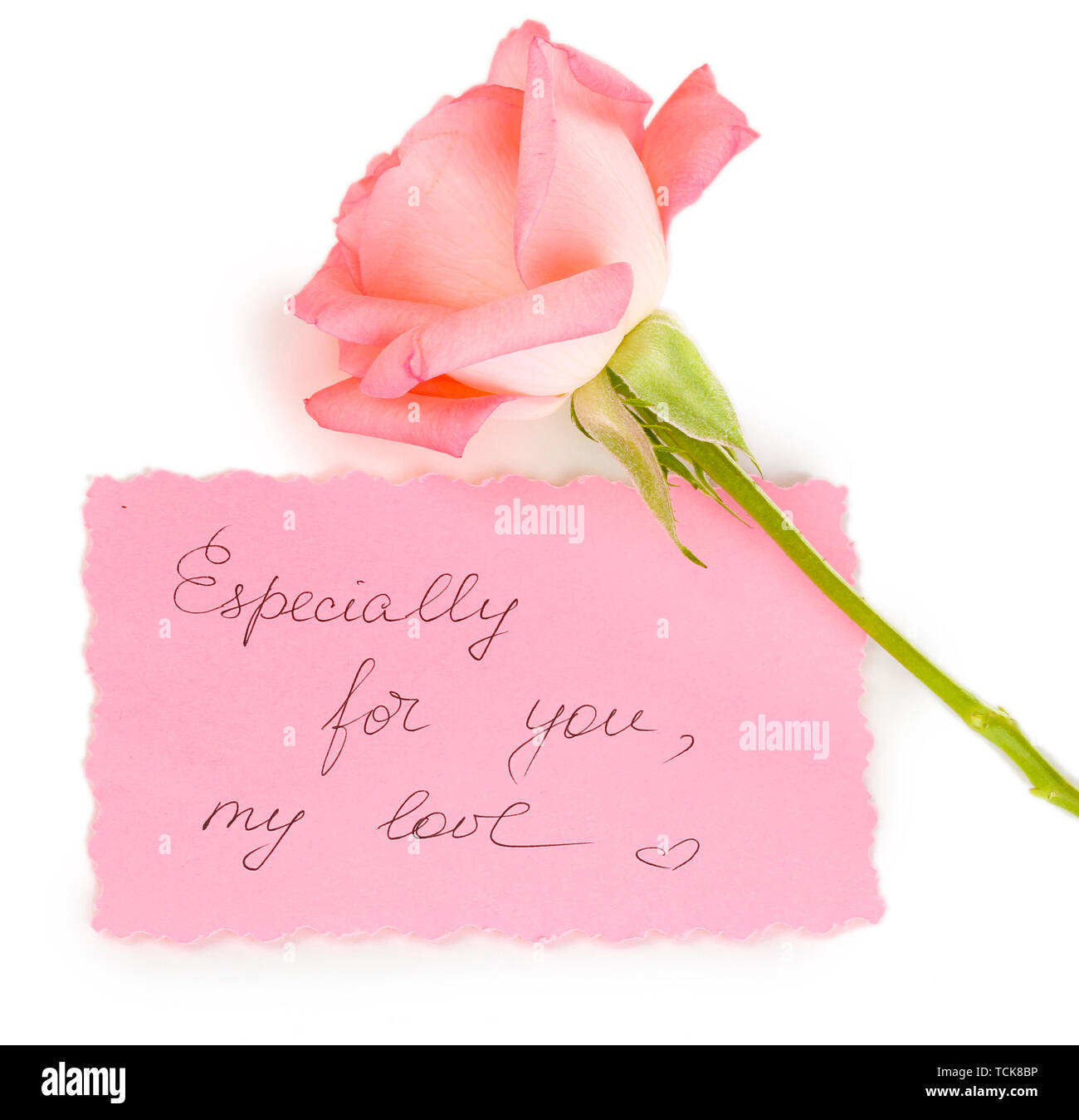 Pink rose with card isolated on white Stock Photo - Alamy