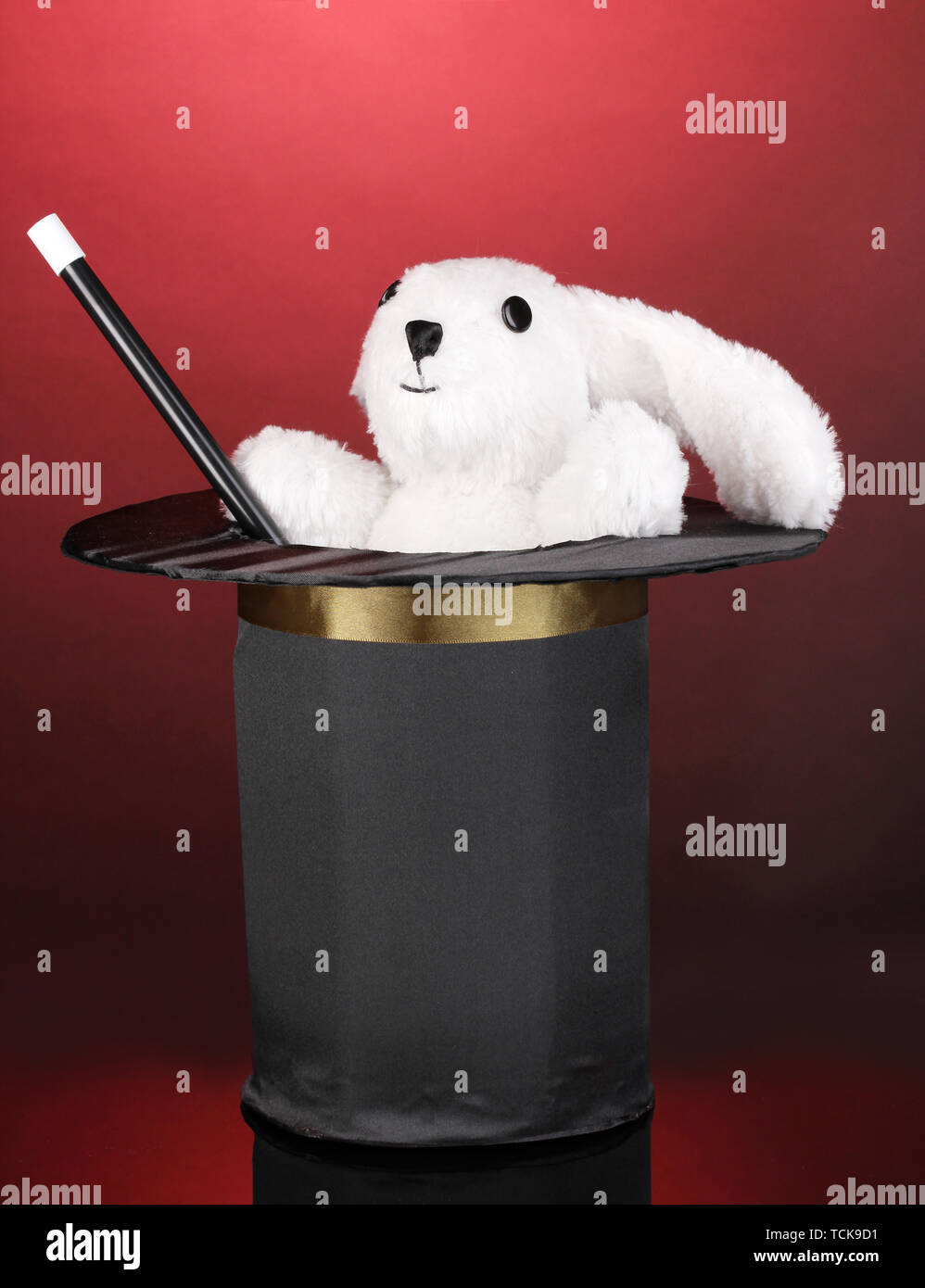 Bunny and black cylinder on red background Stock Photo - Alamy