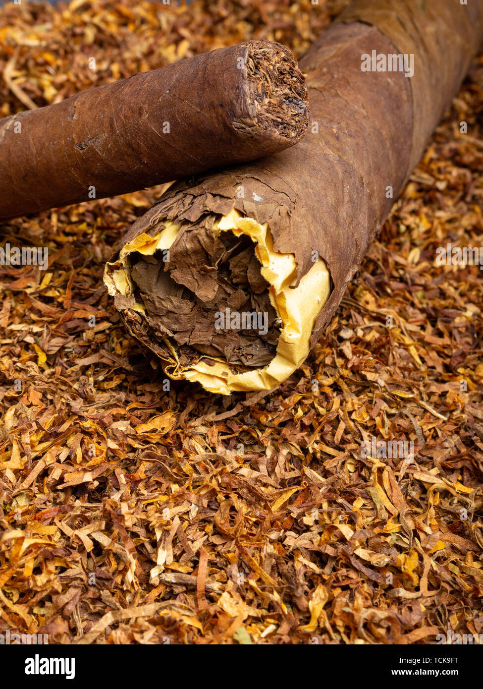 Havana brown cigars on tobacco background, close up Stock Photo - Alamy