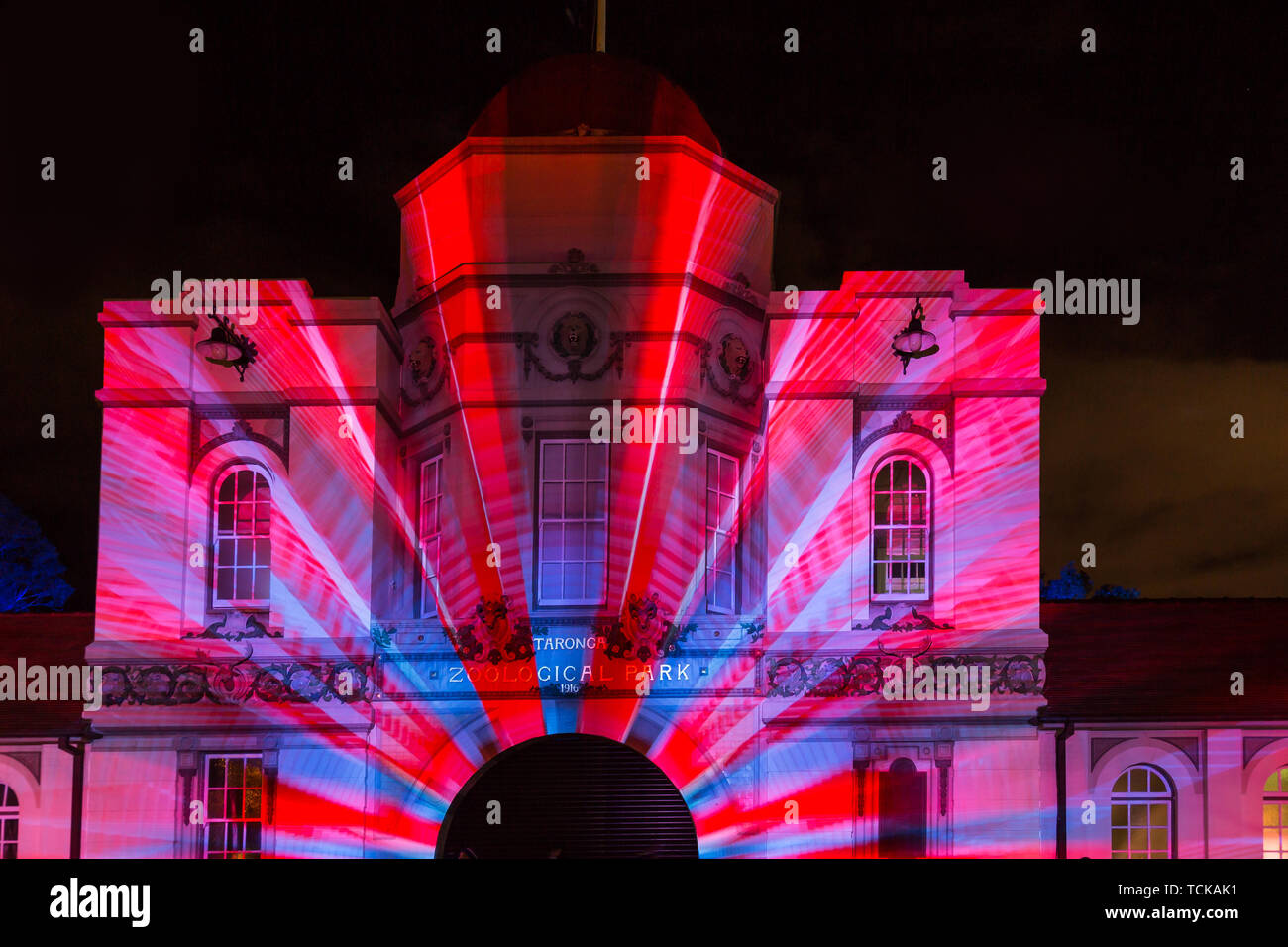 Vivid Sydney at Taronga Zoo, Sydney. The largest festival of light in ...