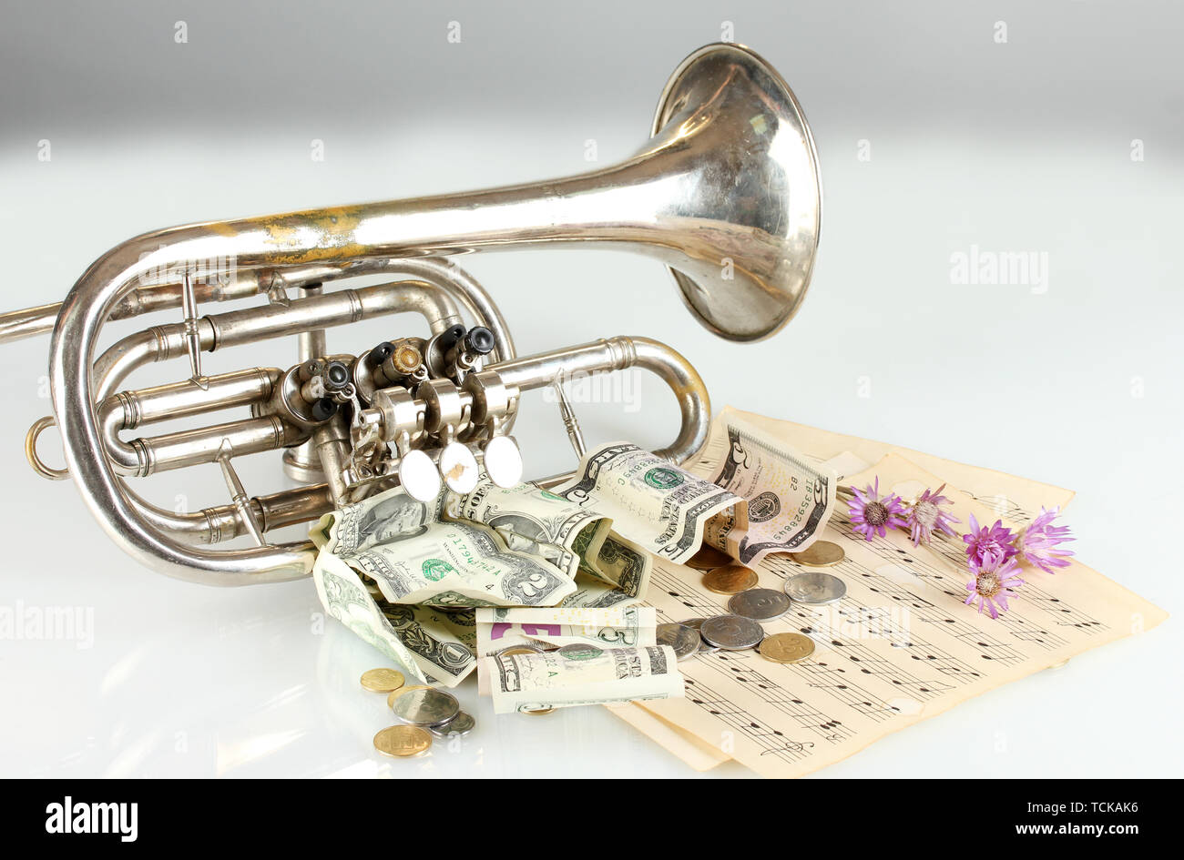 musical instrument with money on gray background Stock Photo - Alamy
