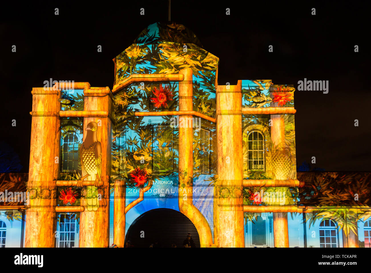 Vivid Sydney at Taronga Zoo, Sydney. The largest festival of light in ...