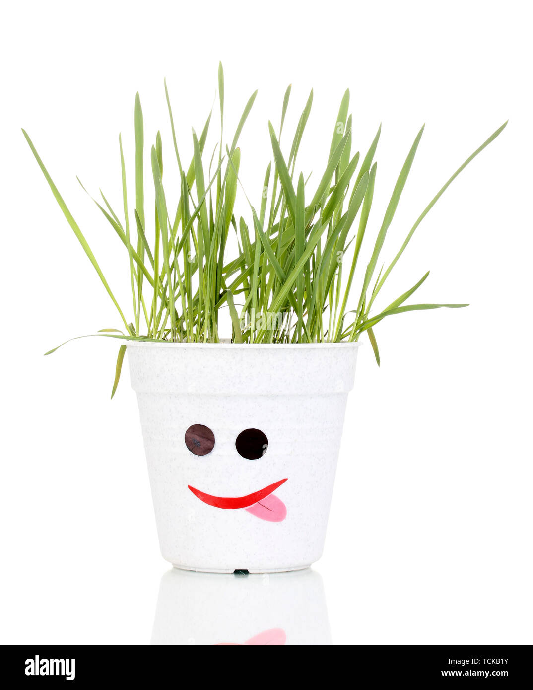 A pot of grass isolated on white Stock Photo - Alamy