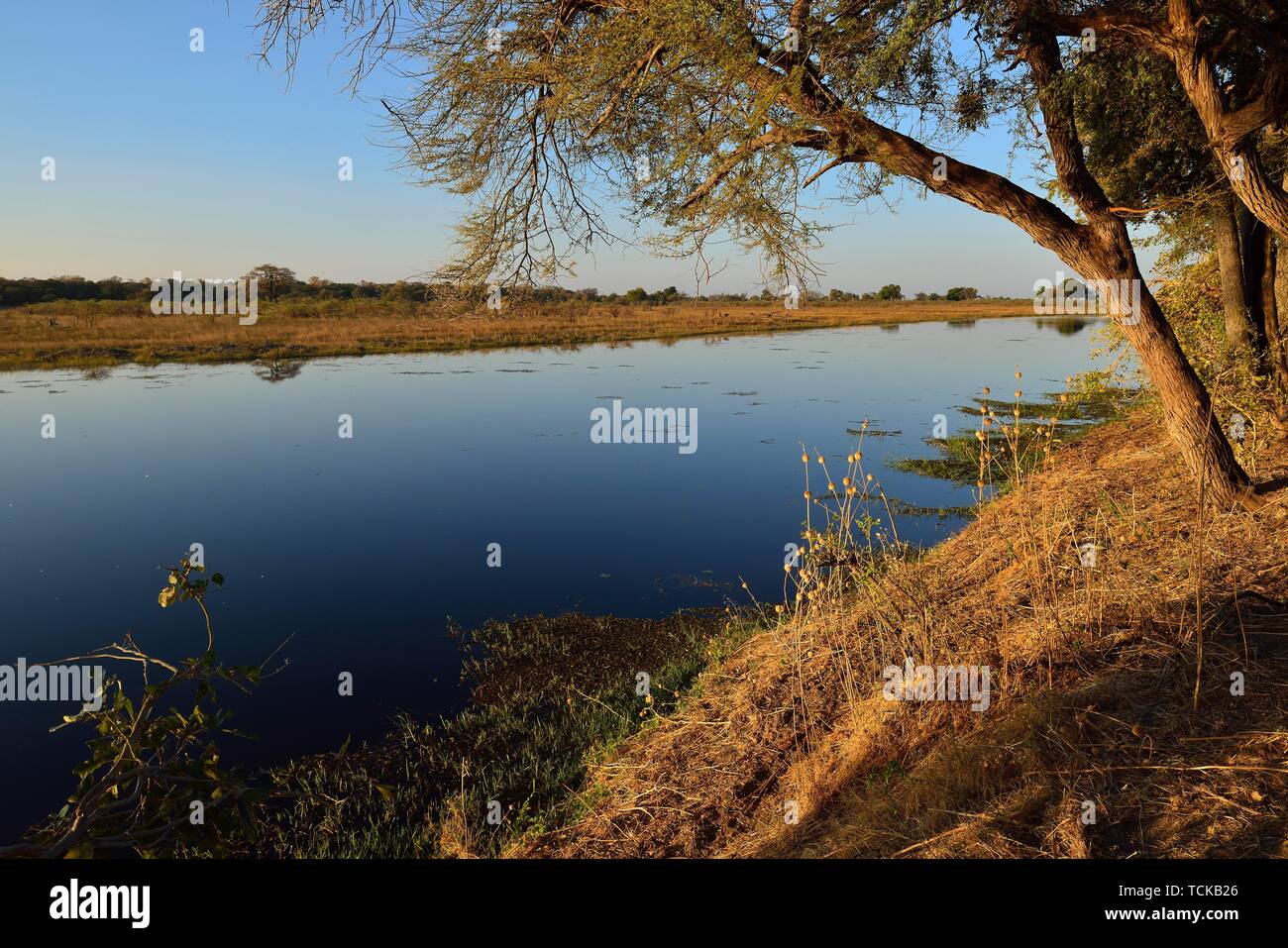 Kwando river, Bwabwata National Park, Caprivi Strip, Namibia Stock ...