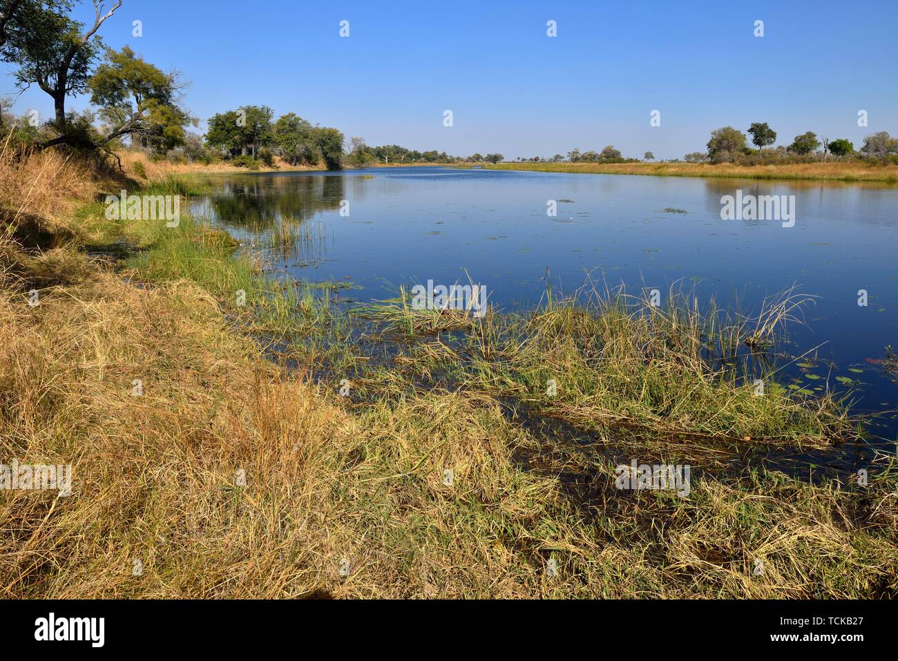 Kwando river, Mudumu National Park, Caprivi Strip, Namibia Stock Photo ...