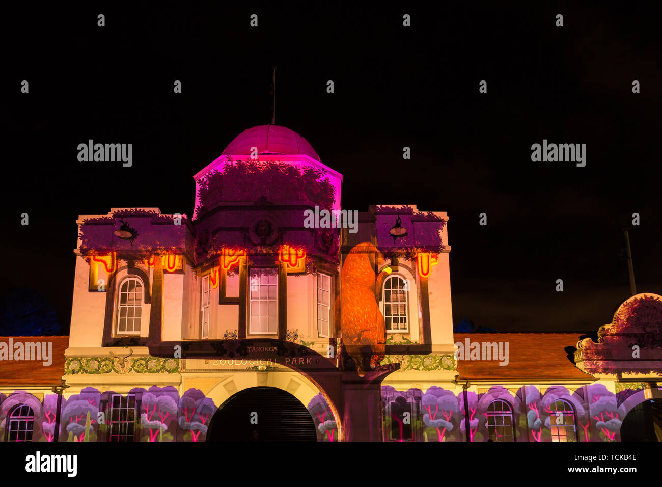 Vivid Sydney at Taronga Zoo, Sydney. The largest festival of light in ...