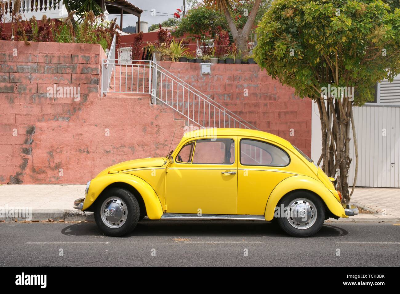 Yellow VW Beetle stands in front of red wall on the Canary Island La ...