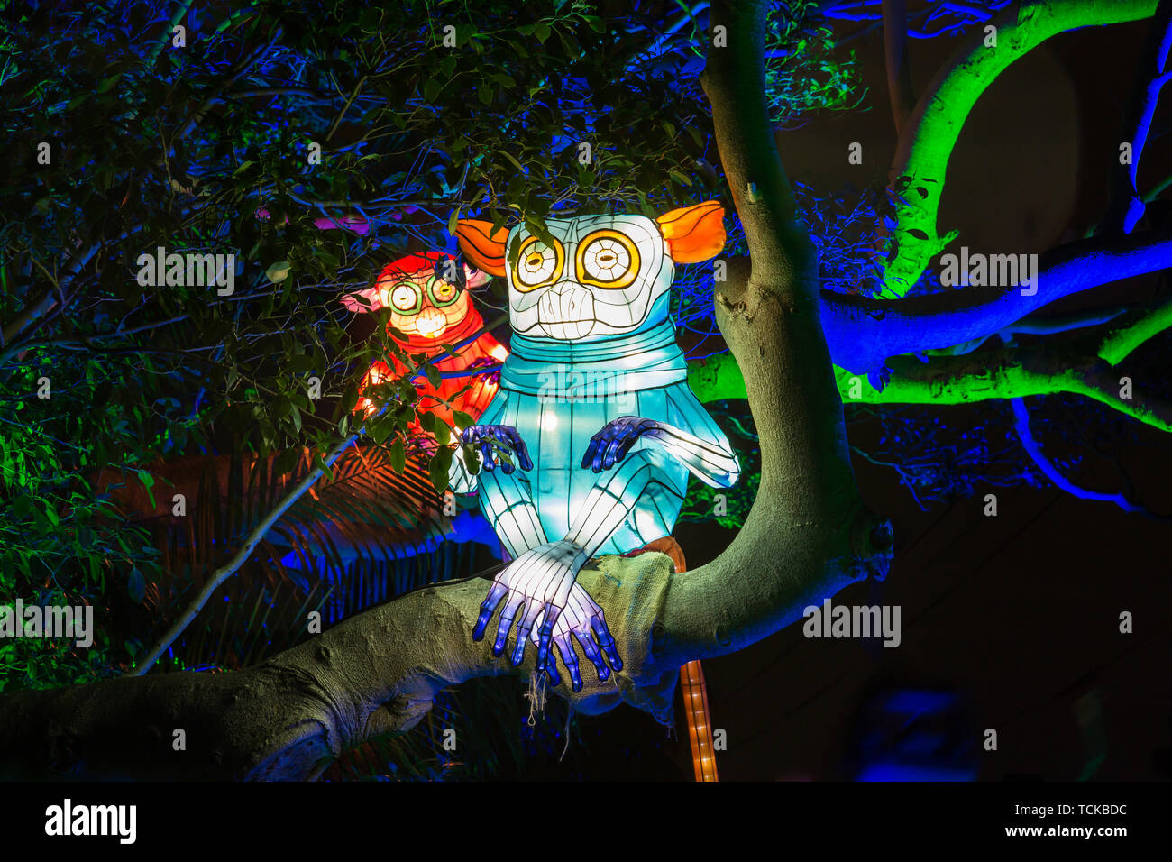 Vivid Sydney at Taronga Zoo, Sydney. The largest festival of light in ...