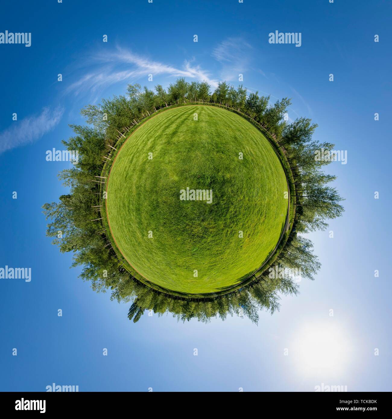 Globe with meadow and deciduous trees with blue sky hi-res stock ...