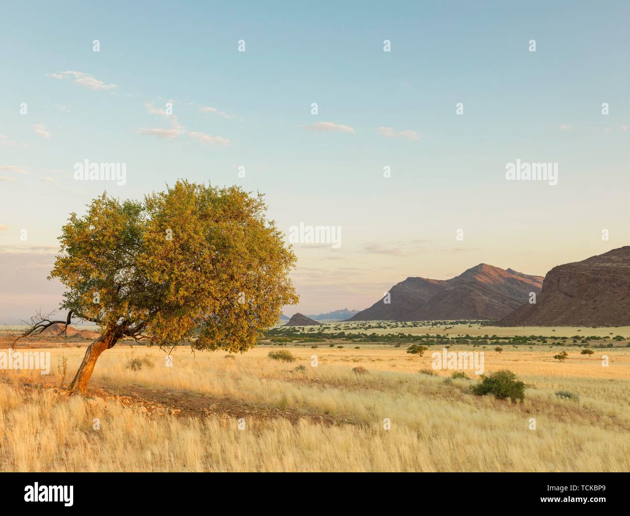 Landscape in the Marienfluss valley, Kaokoveld, Namibia Stock Photo - Alamy