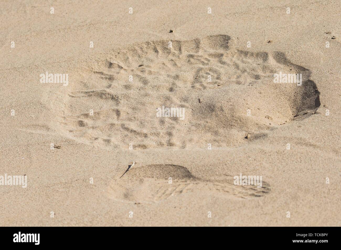 Foot print of desert elephant and human in sand hi-res stock ...