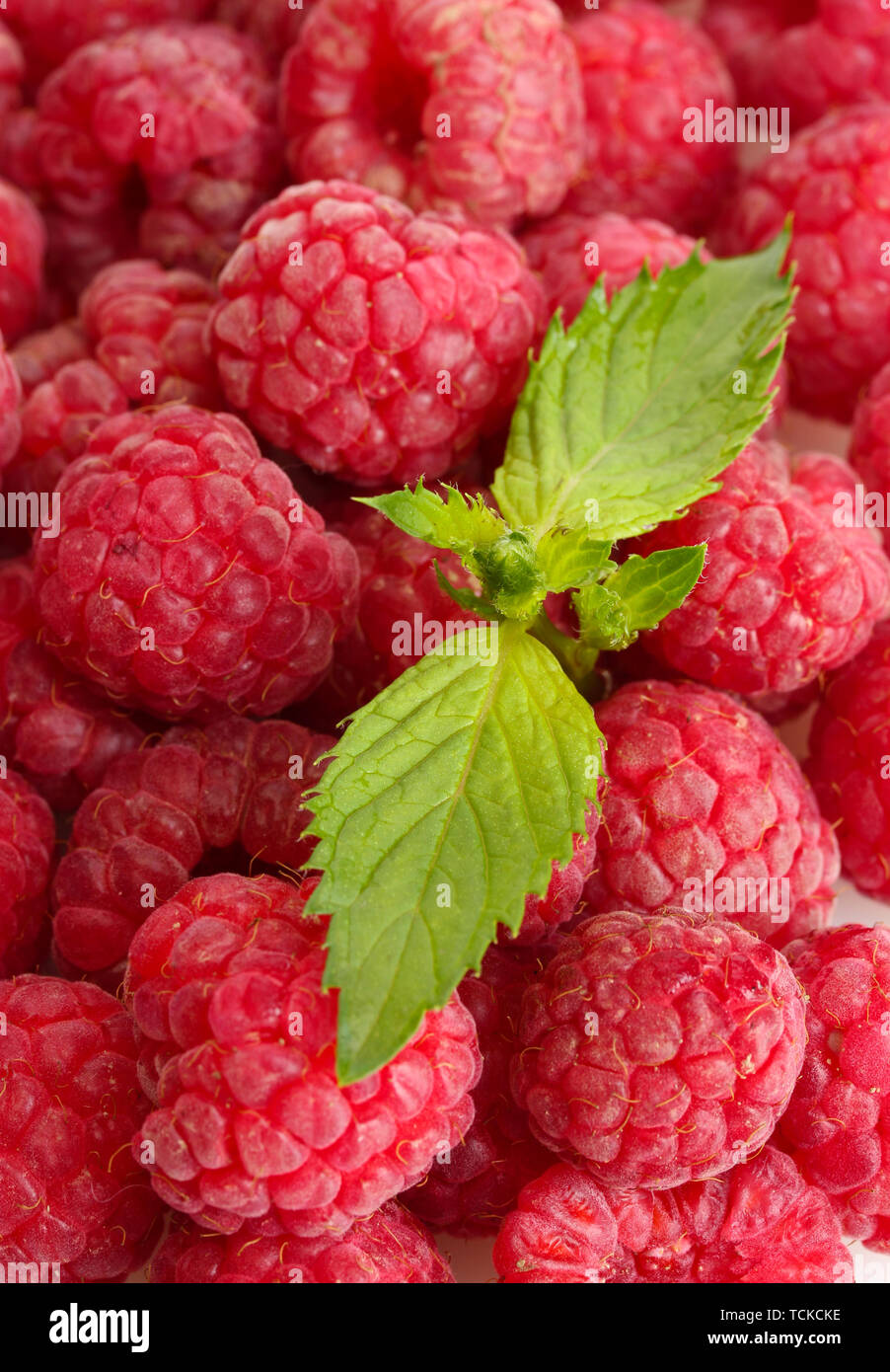 ripe raspberries background with mint Stock Photo - Alamy
