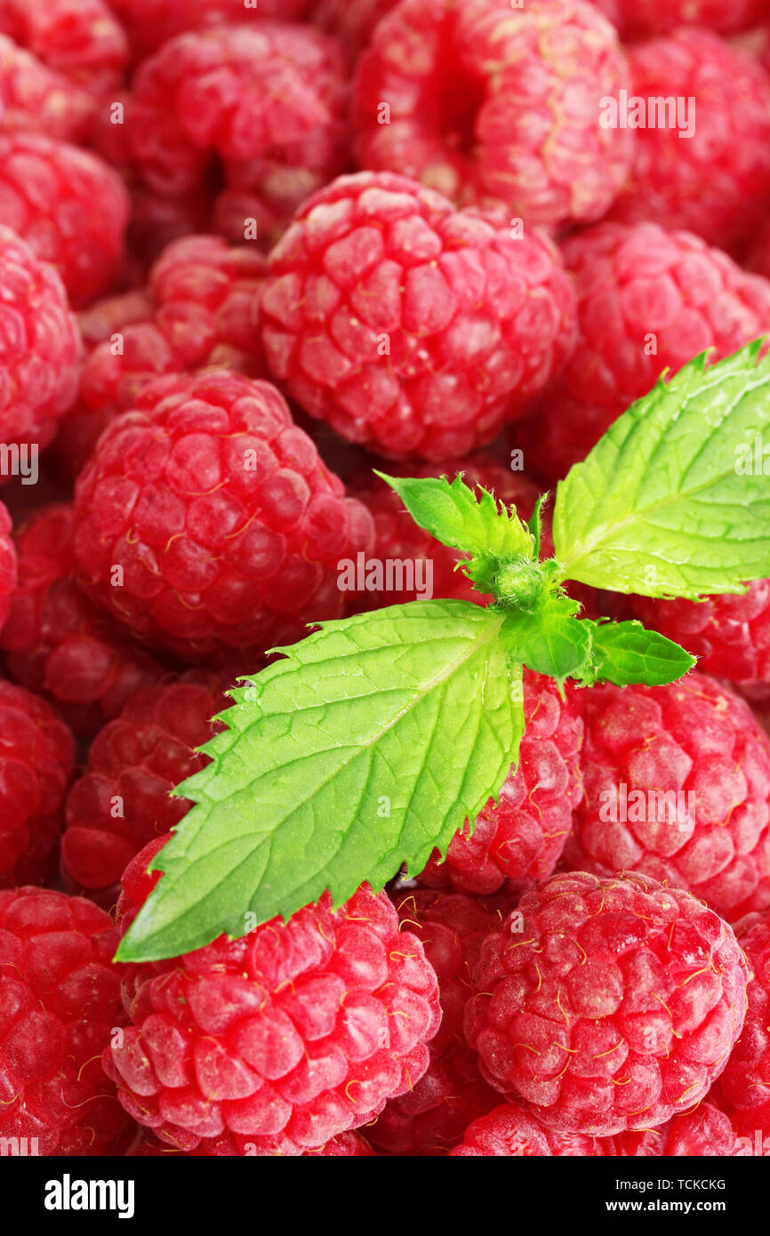 ripe raspberries background with mint Stock Photo - Alamy