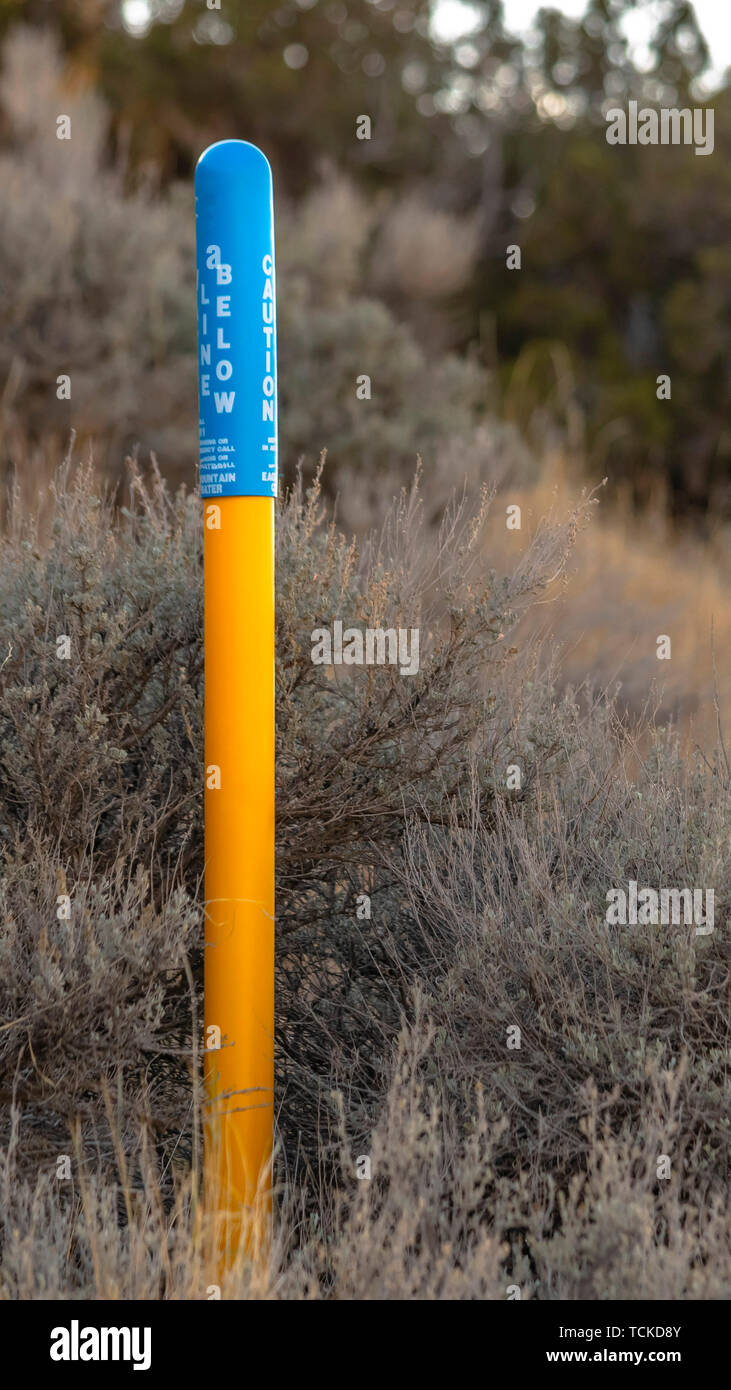 Panorama frame Bright yellow Caution pole with a blue tip isolated ...