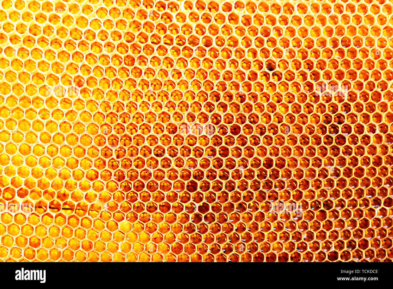yellow beautiful honeycomb with honey, background Stock Photo - Alamy