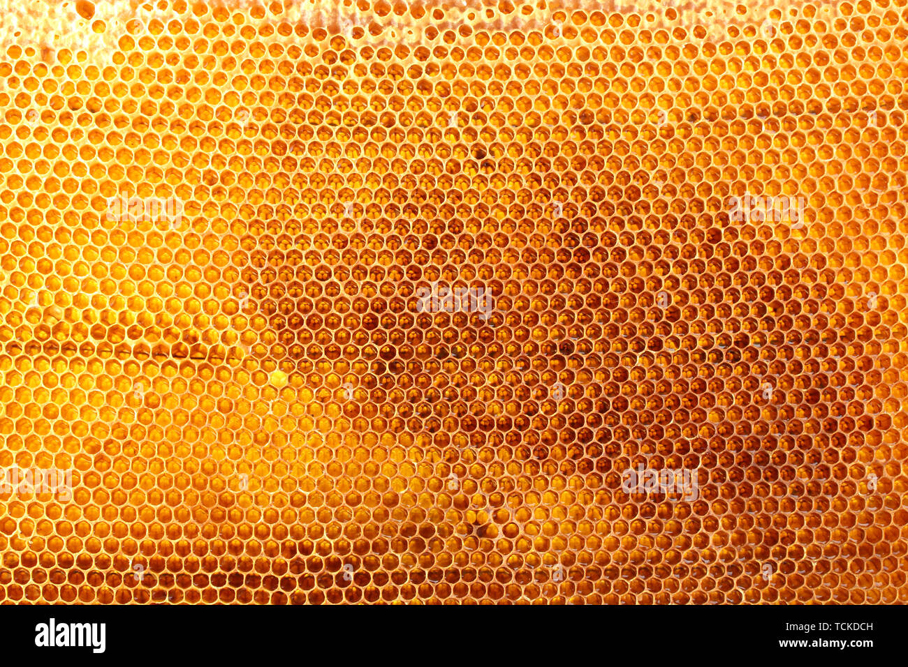 yellow beautiful honeycomb with honey, background Stock Photo - Alamy