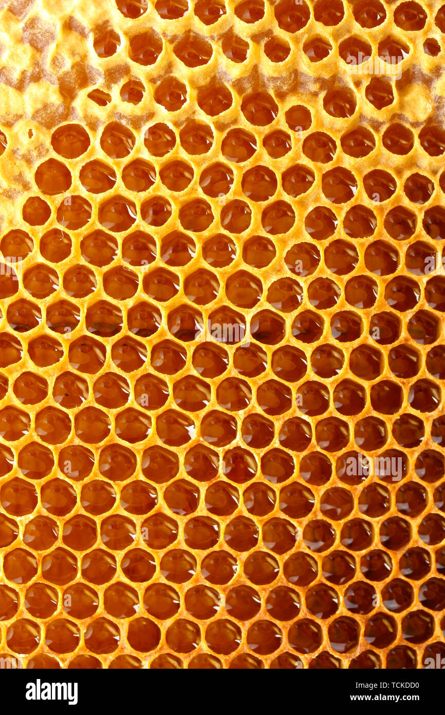 yellow beautiful honeycomb with honey, background Stock Photo - Alamy