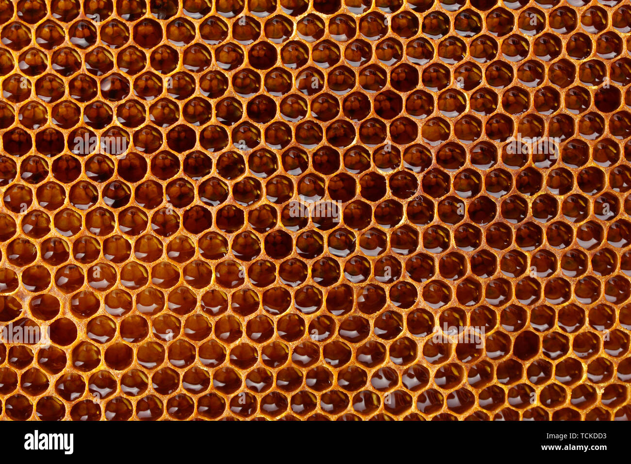yellow beautiful honeycomb with honey, background Stock Photo - Alamy