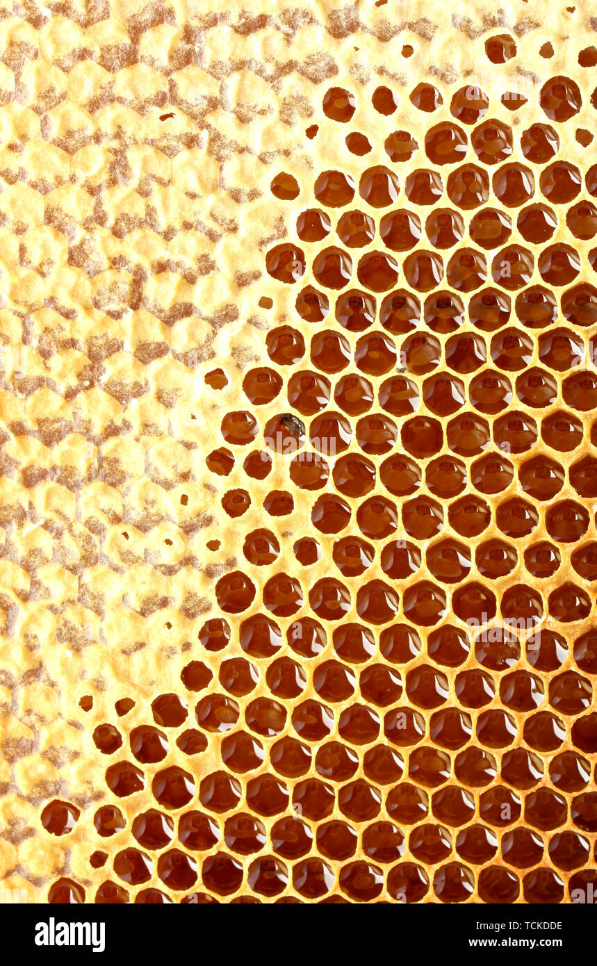 yellow beautiful honeycomb with honey, background Stock Photo - Alamy