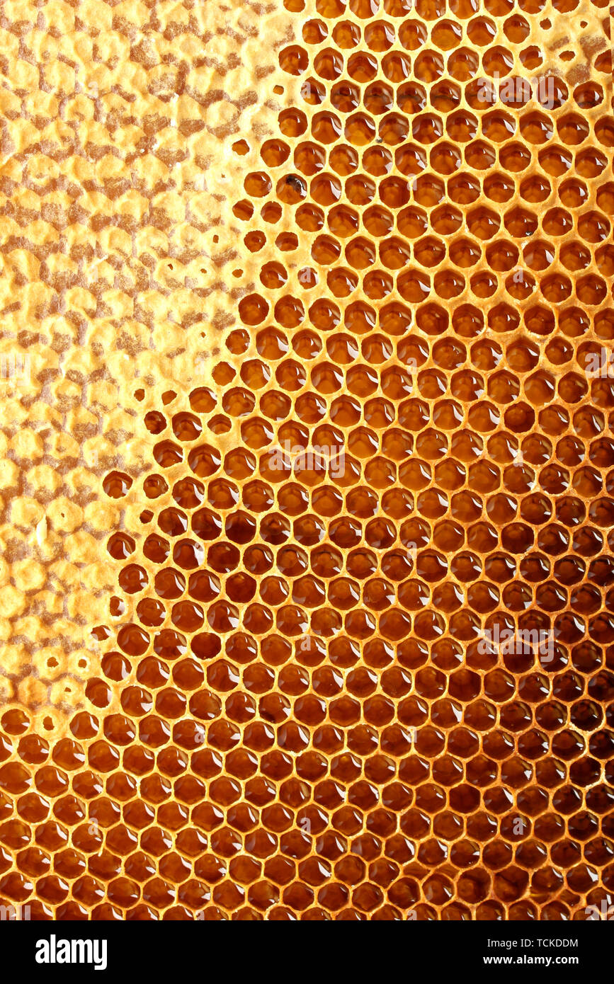 yellow beautiful honeycomb with honey, background Stock Photo - Alamy