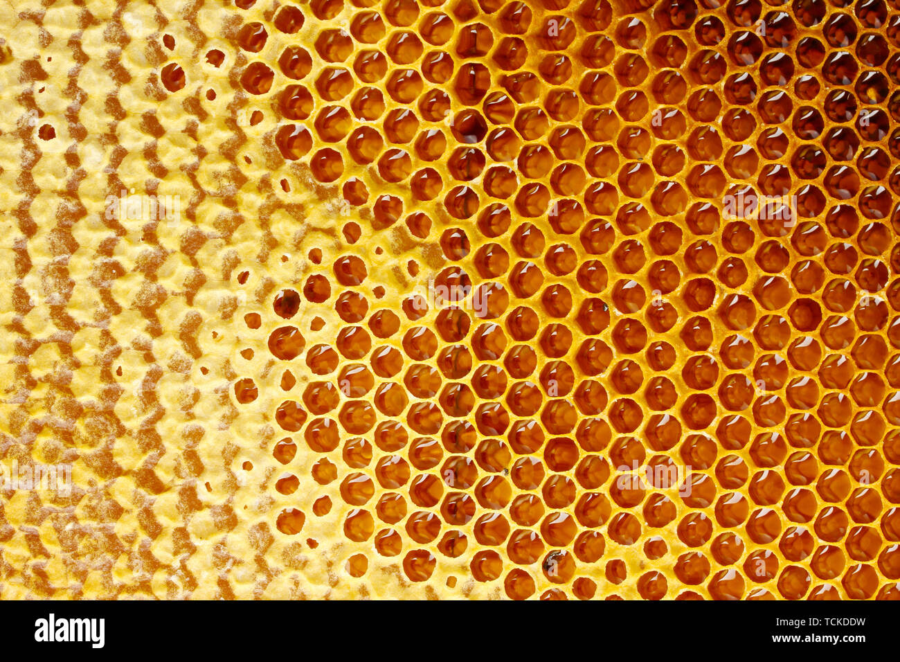 yellow beautiful honeycomb with honey, background Stock Photo - Alamy