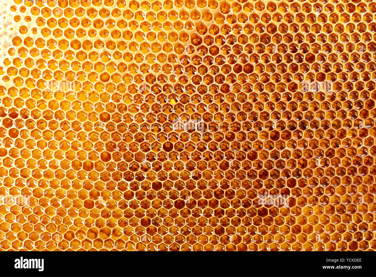 yellow beautiful honeycomb with honey, background Stock Photo - Alamy