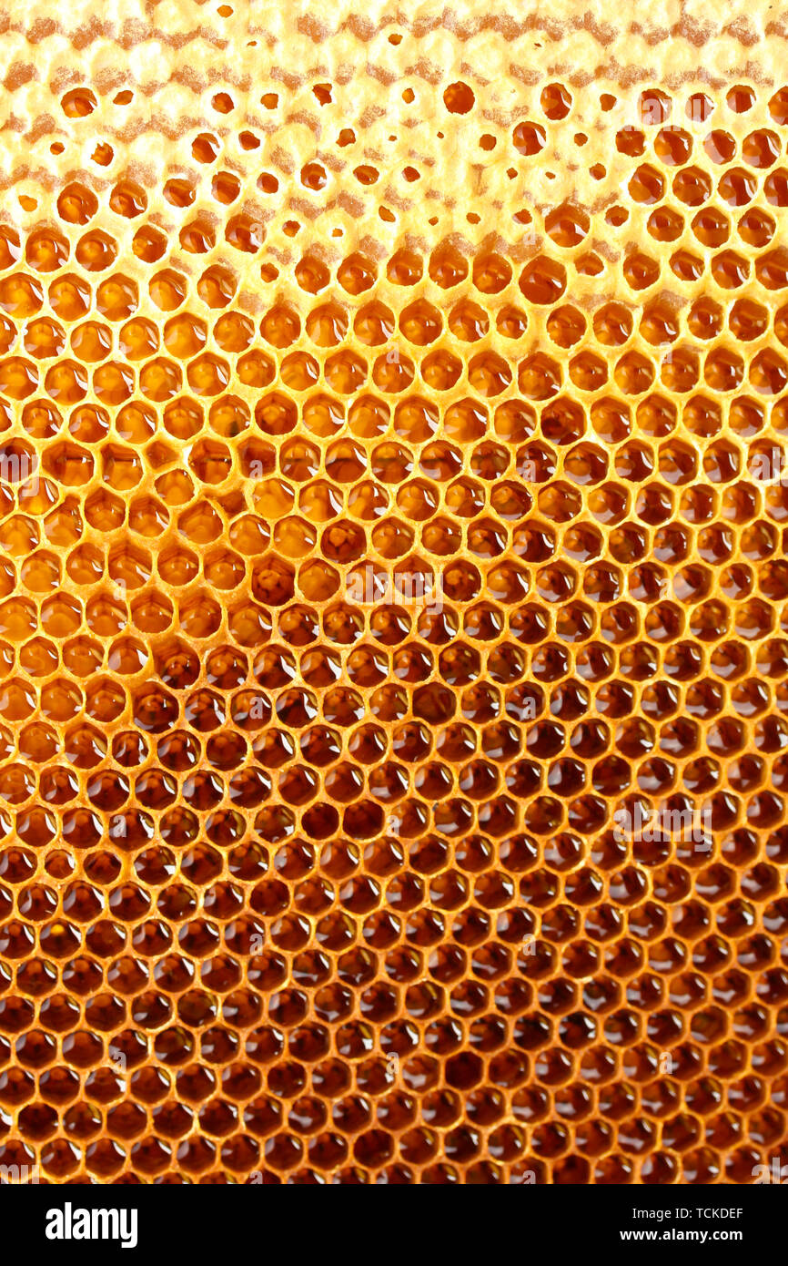 yellow beautiful honeycomb with honey, background Stock Photo - Alamy