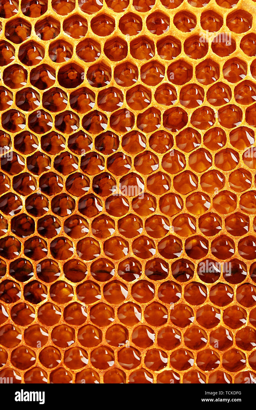 yellow beautiful honeycomb with honey, background Stock Photo - Alamy