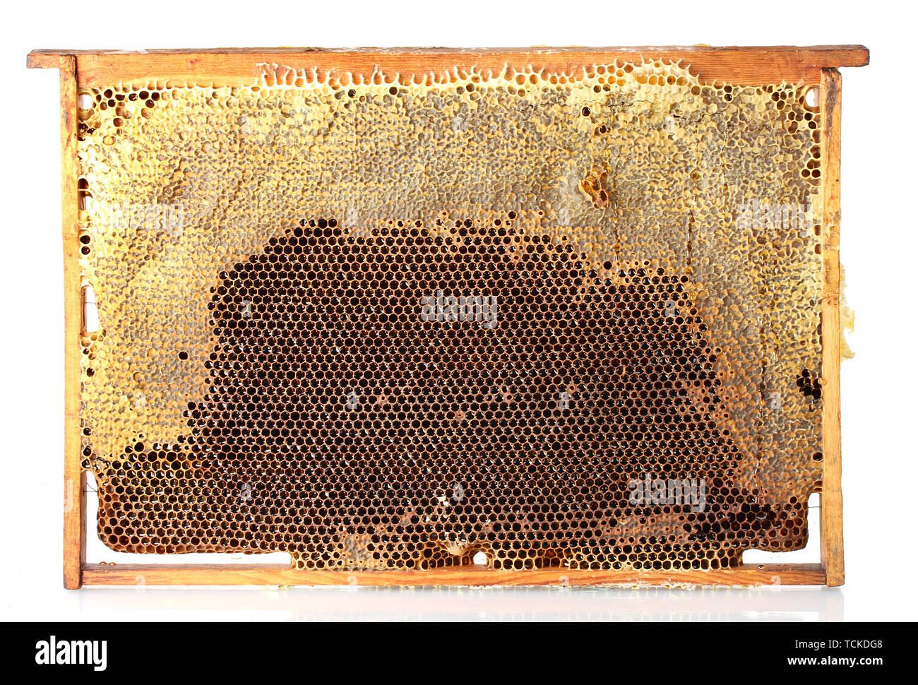 yellow beautiful honeycomb frame with honey, isolated on white Stock ...