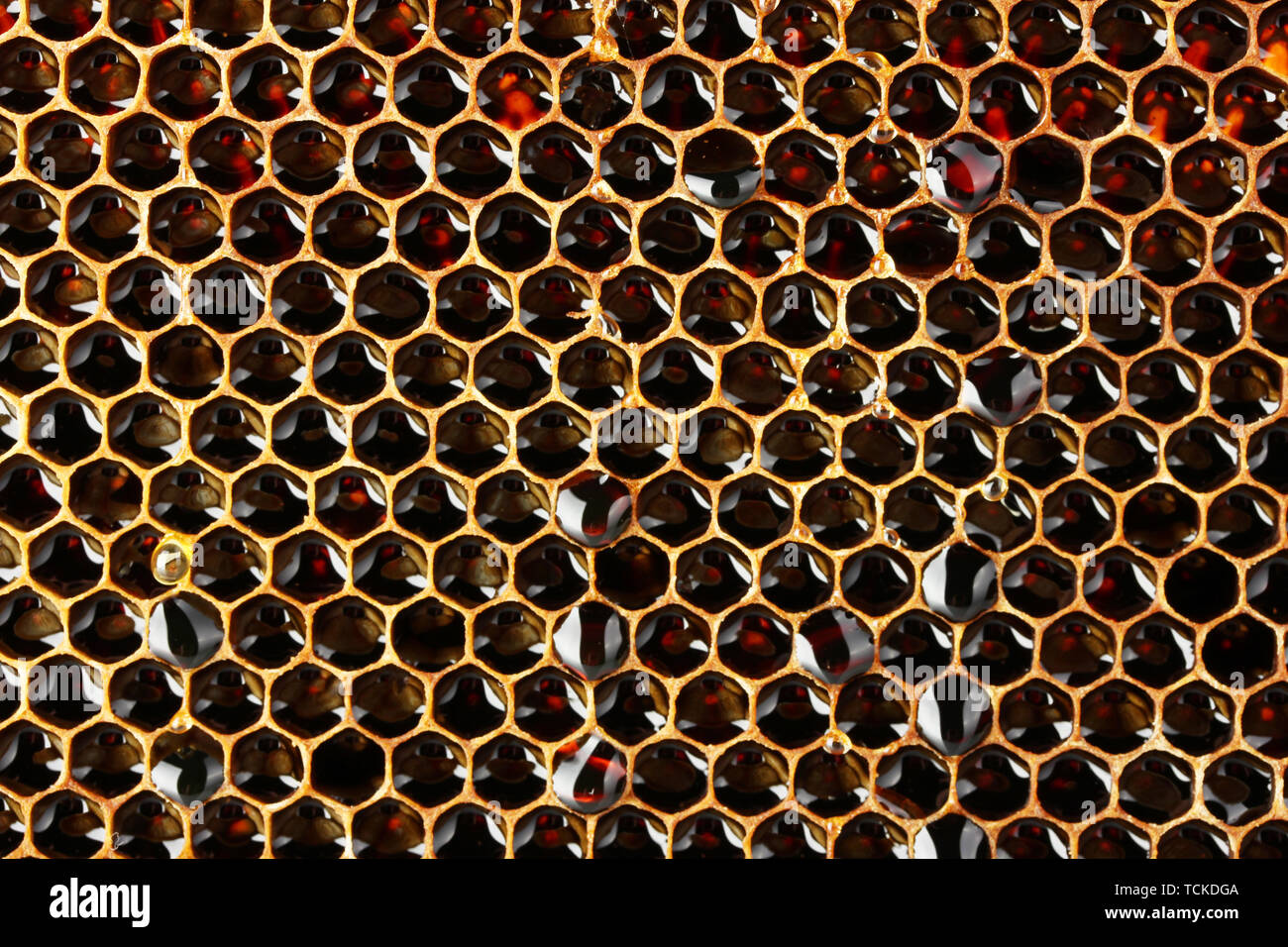 yellow beautiful honeycomb with honey, background Stock Photo - Alamy