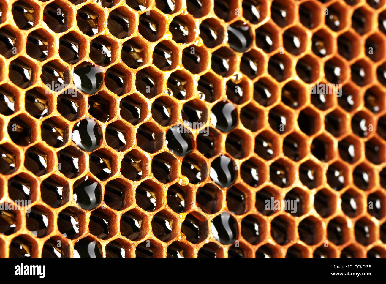 yellow beautiful honeycomb with honey, background Stock Photo - Alamy