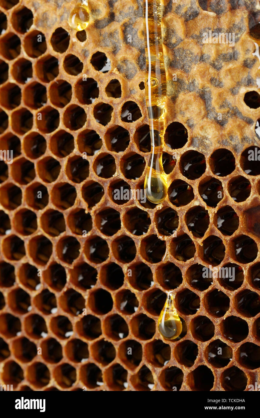 yellow beautiful honeycomb with honey, background Stock Photo - Alamy