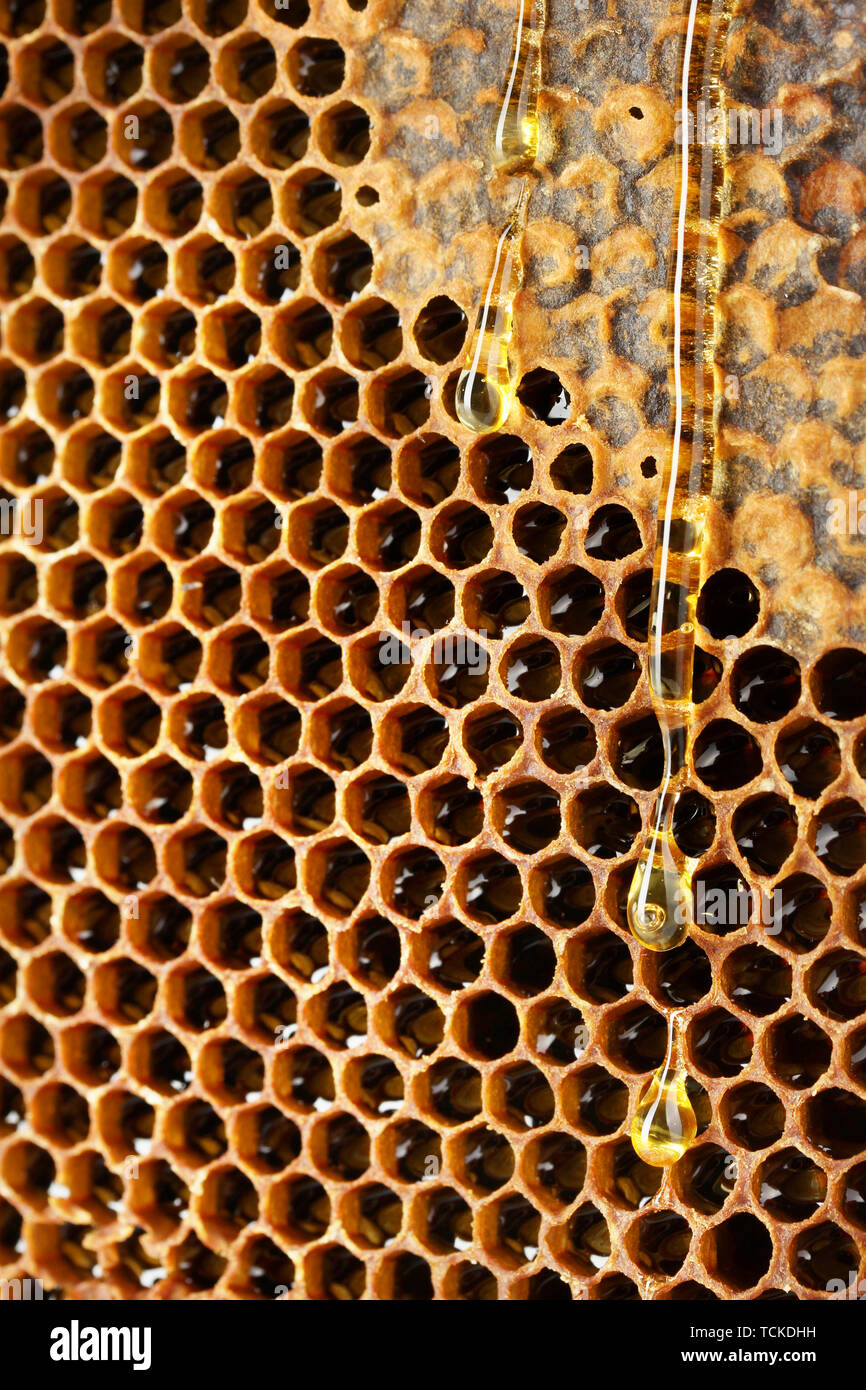yellow beautiful honeycomb with honey, background Stock Photo - Alamy