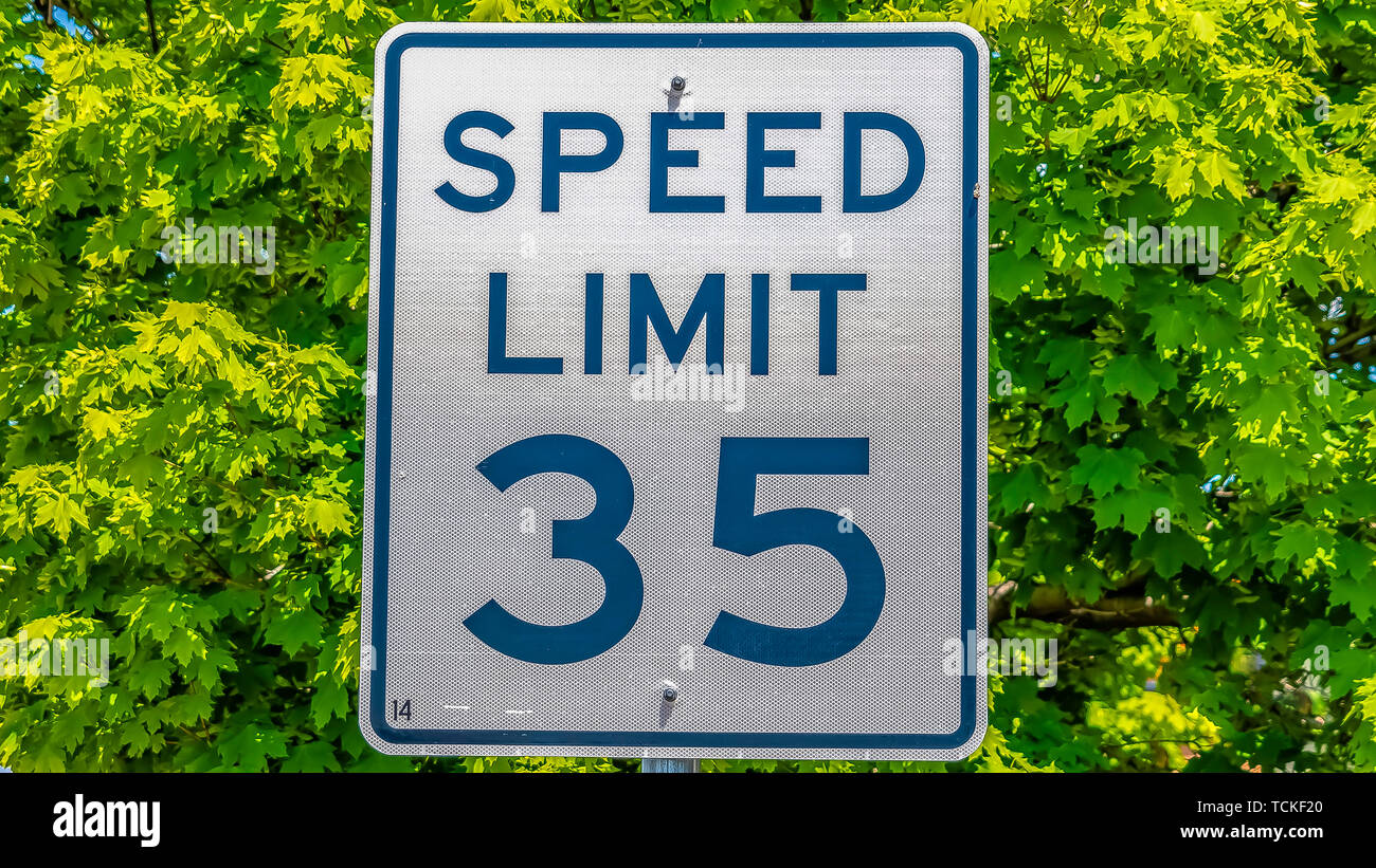 Panorama frame Speed Limit road sign against a tree with radiant green ...