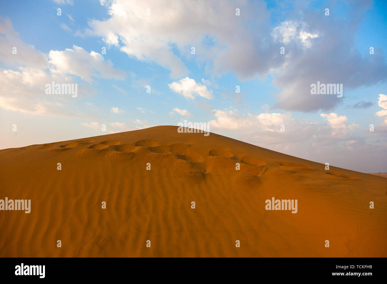 Thar desert image hi-res stock photography and images - Alamy
