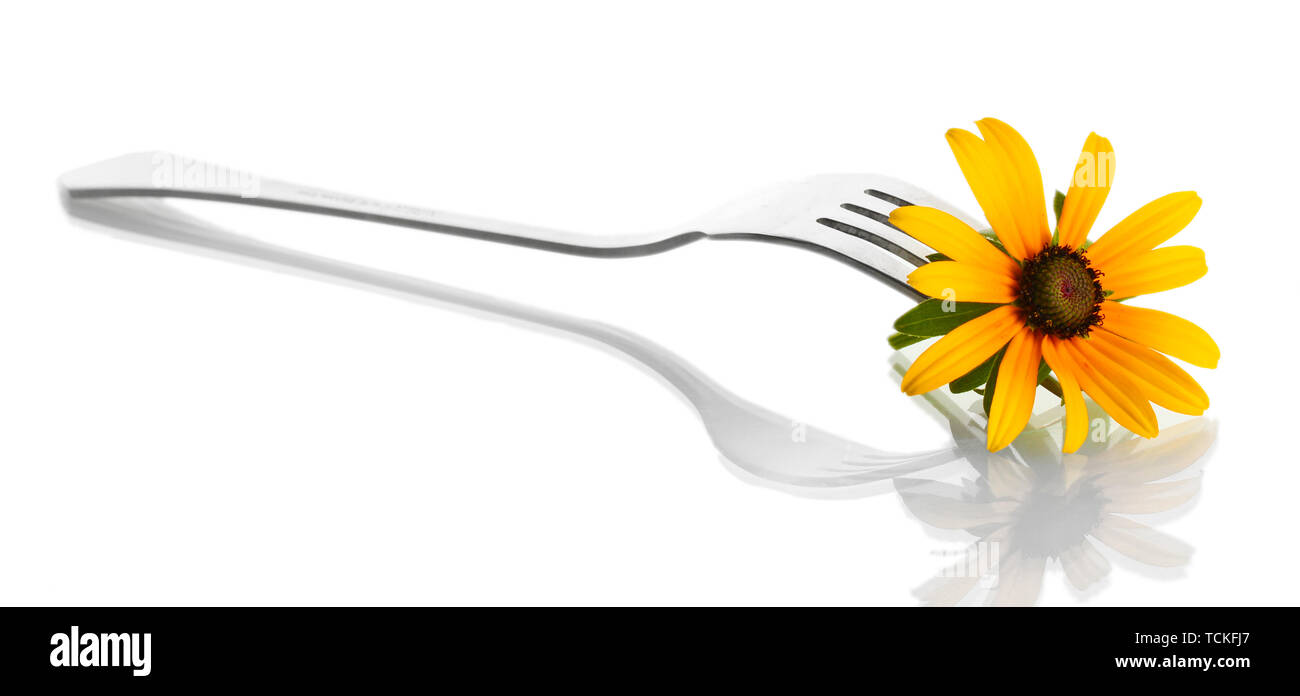 fork and flower, isolated on white Stock Photo - Alamy